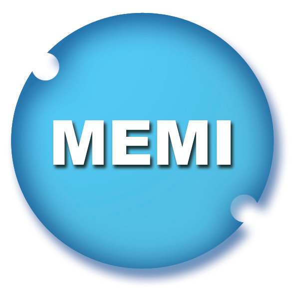 MEMI IT - IT rješenja i usluge